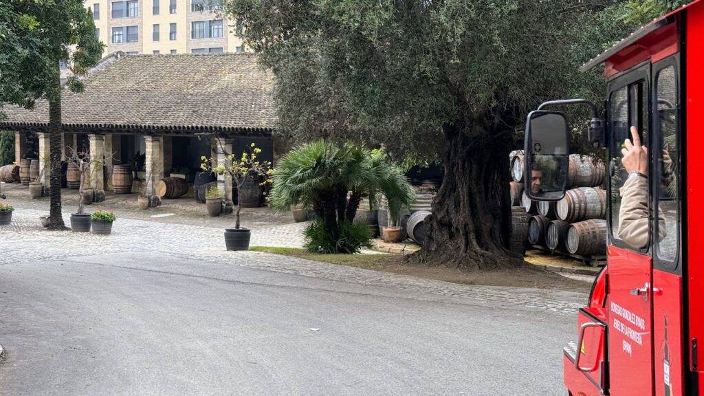 Tio Pepe: ontdek de magie van sherry in Jerez de la Frontera