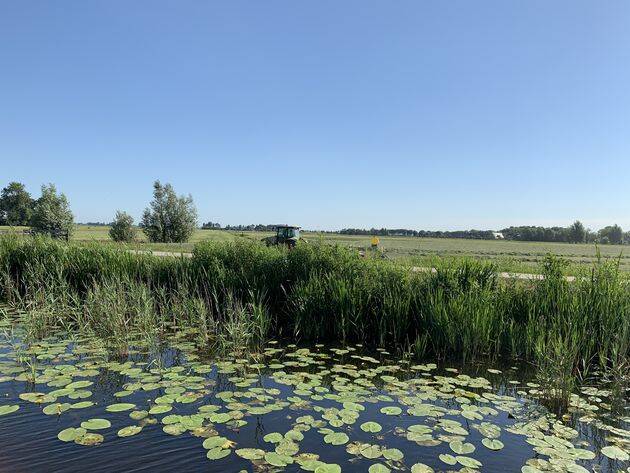 3 unieke tips om het andere Friesland te ontdekken!